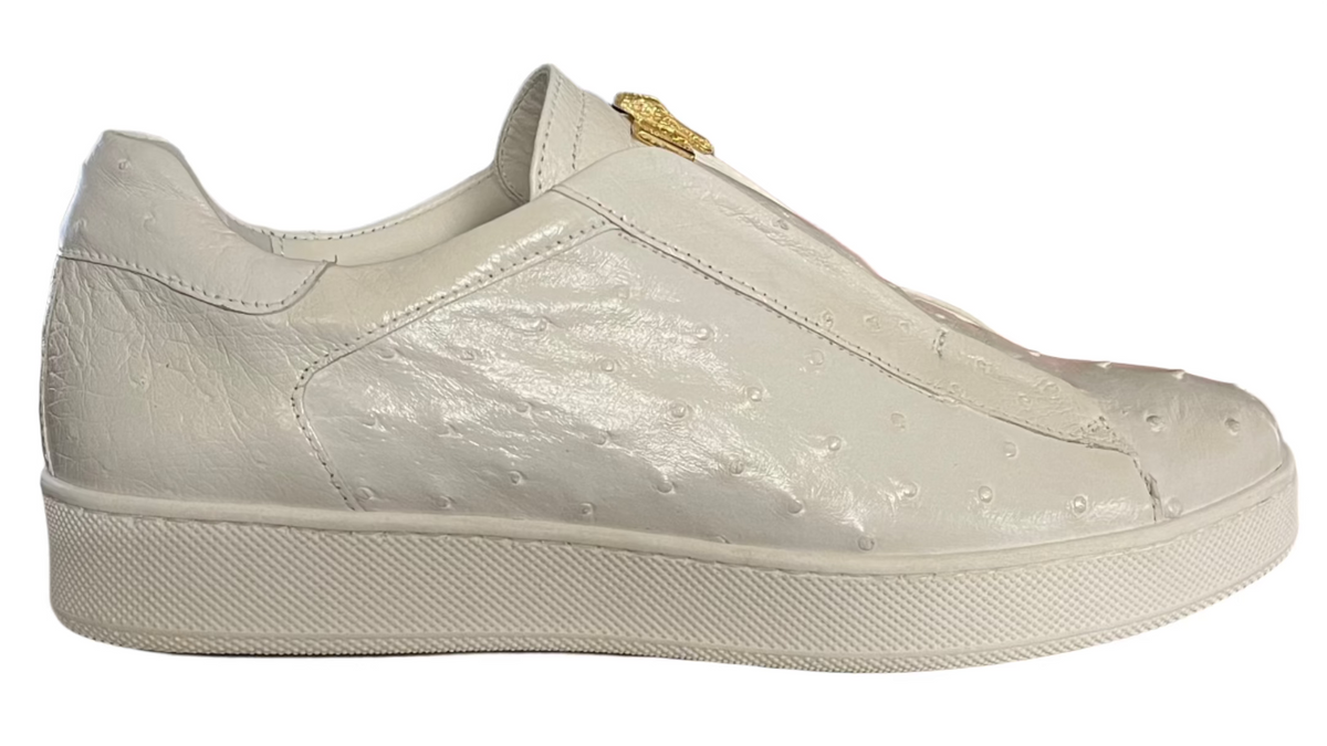 Mauri-8478 White Full Ostrich – Brite Creations Atlanta